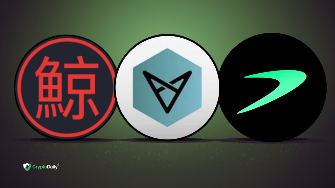 Altcoins Kujira (KUJI), VectorSpace (VXV), and Tellor (TRB) surge ...