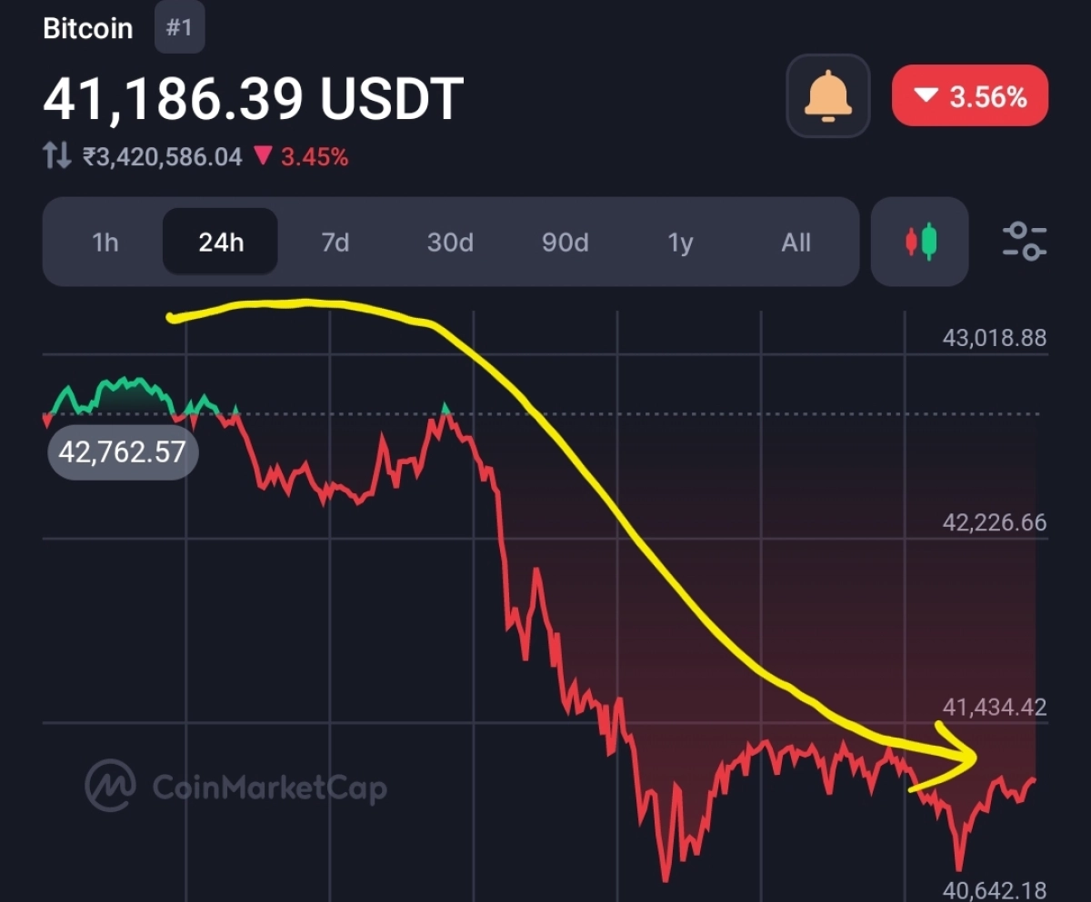 Bitcoin Crashed 6 Because Of Whale Activities Here Is The Expected