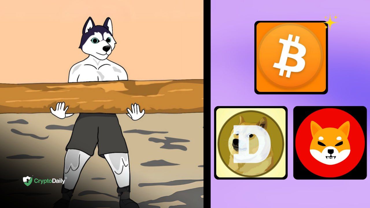 Husky Inu Generates Over $680K in Presale While Bitcoin (BTC) and Alts ...