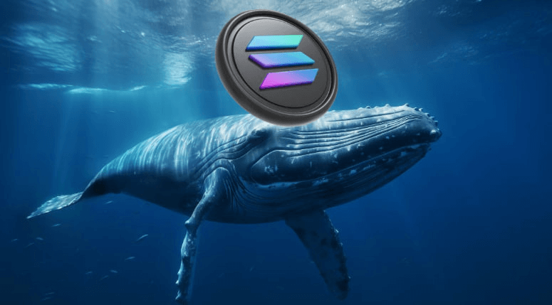 Massive Solana Whale Highlights Top 5 Altcoins for November—Memecoins Are the Focus - Crypto Daily